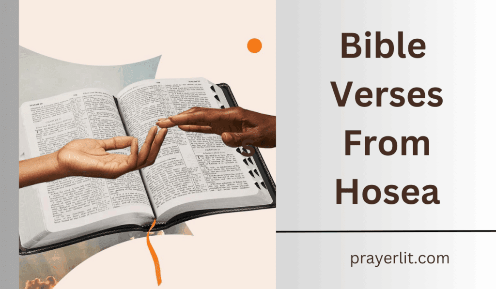 15 Most Powerful Bible Verses From Hosea (2025) - PrayerLit