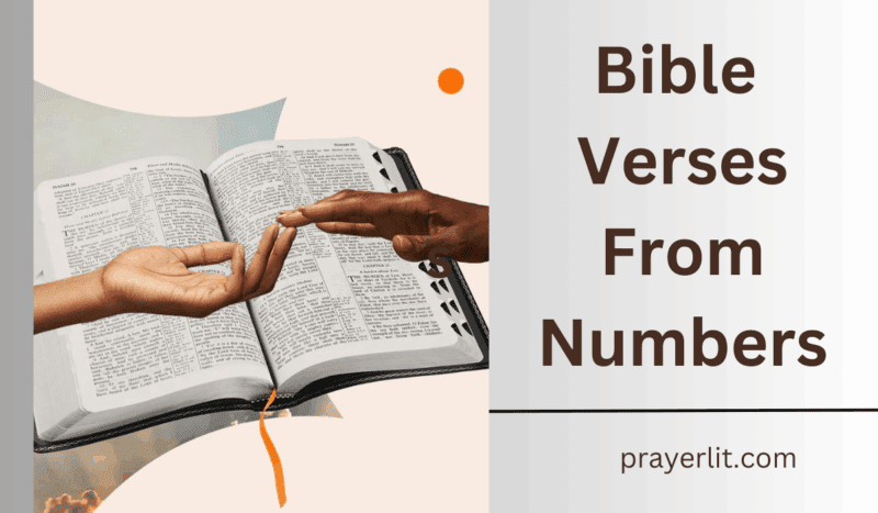 30 Most Powerful Bible Verses From Numbers (2026) - PrayerLit