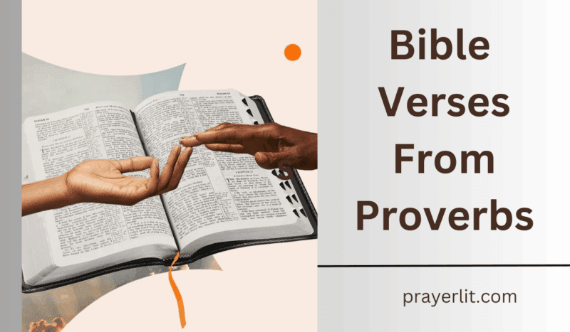 30 Most Powerful Bible Verses From Proverbs (2026) - PrayerLit