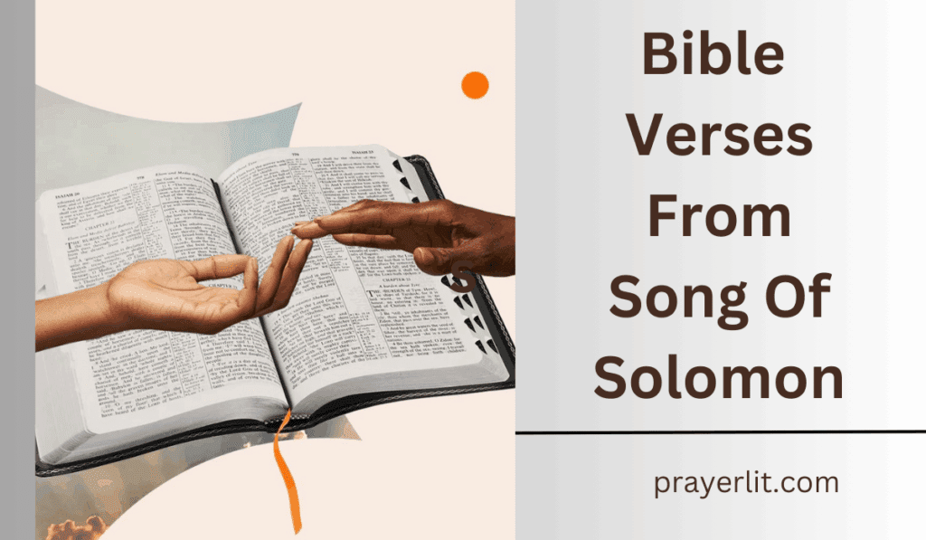 20 Most Powerful Bible Verses From Song Of Solomon - PrayerLit