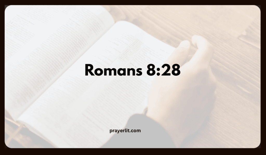 Romans 8:28 Meaning and Commentary - PrayerLit