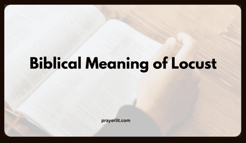 What Do Locusts Symbolize in the Bible? 2026 - PrayerLit